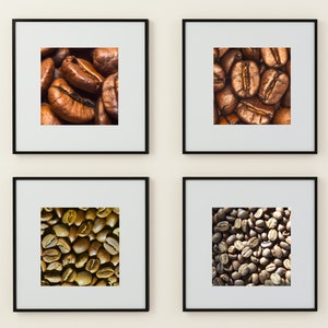 Coffee Seeds Texture 4 in 1 Png Images - Etsy