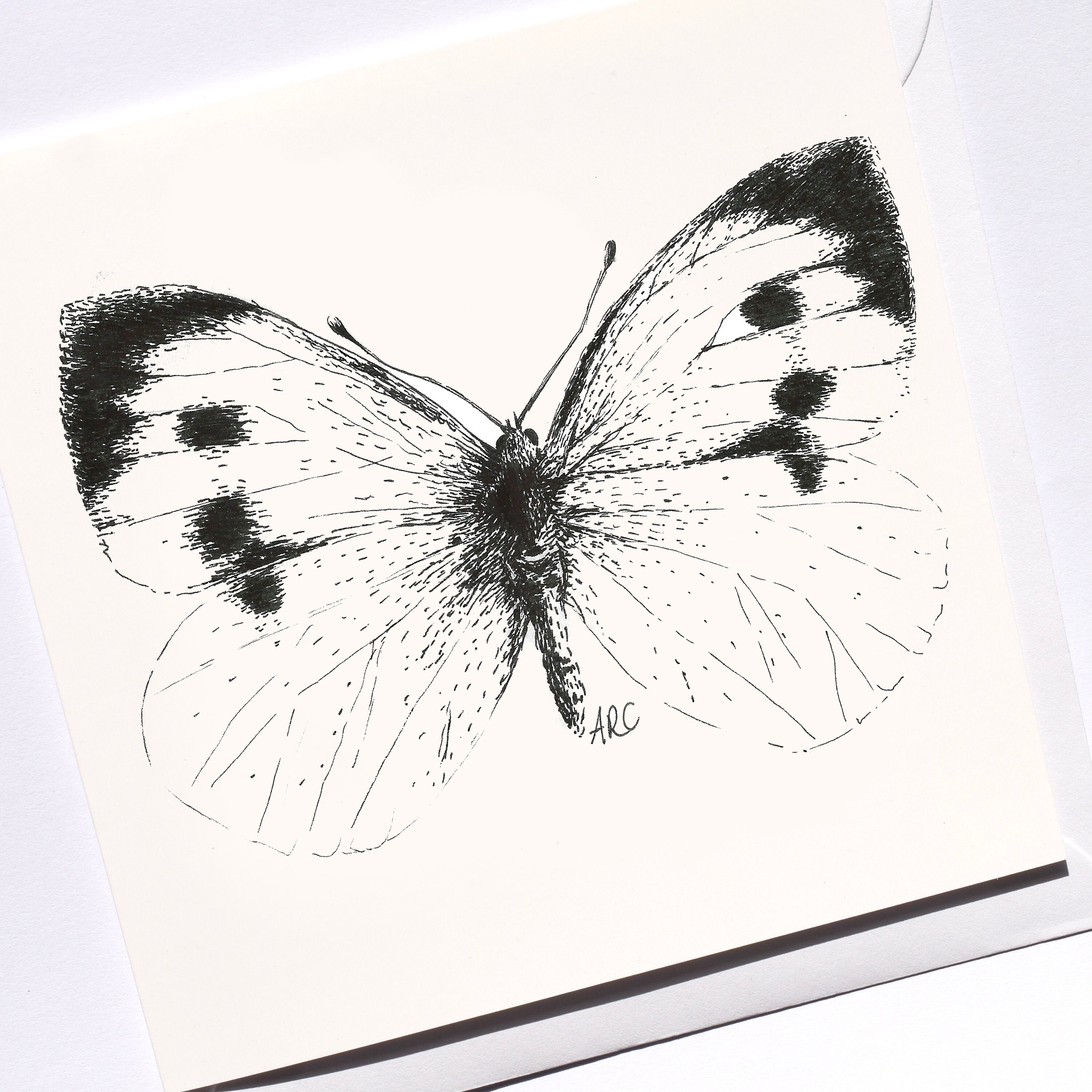 Butterfly Card - 'large White' Butterfly Drawing Greetings Card - Etsy UK