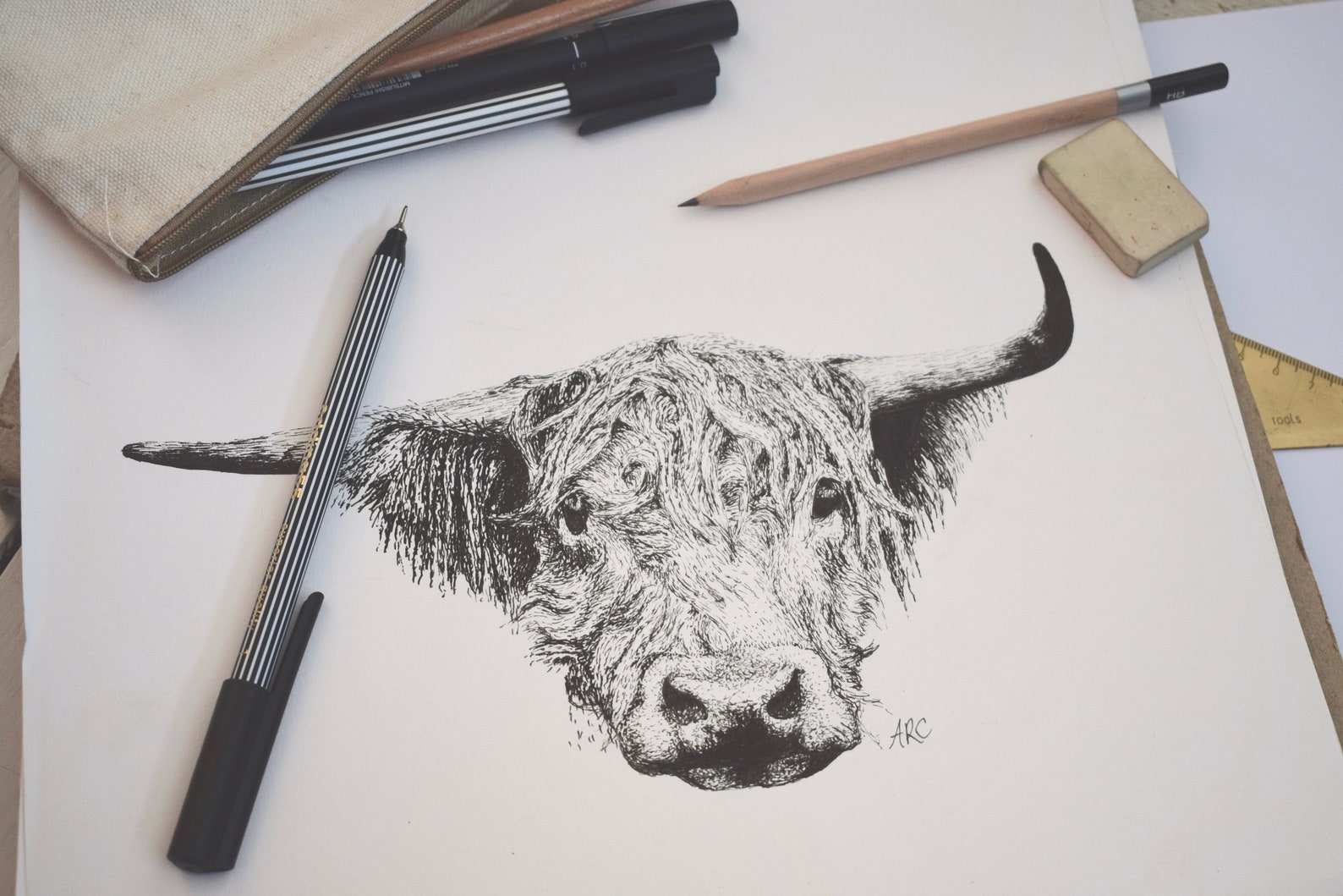 Highland Cow Art Print A4 Print of Highland Cattle Drawing, Pen and Ink ...