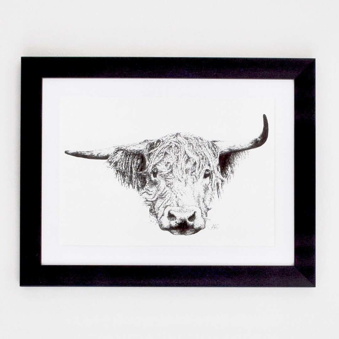 Highland Cow Art Print A4 Print of Highland Cattle Drawing - Etsy