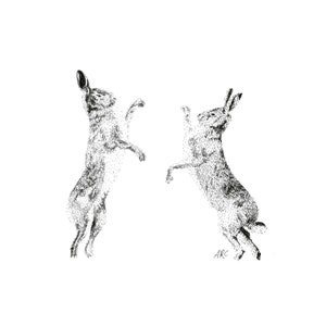 Boxing Hares Art Print A4 Print of Boxing Hares Pen and Ink Drawing - Etsy