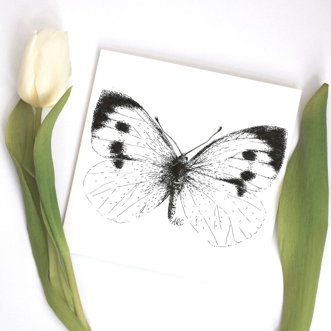 Butterfly Card - 'large White' Butterfly Drawing Greetings Card - Etsy UK