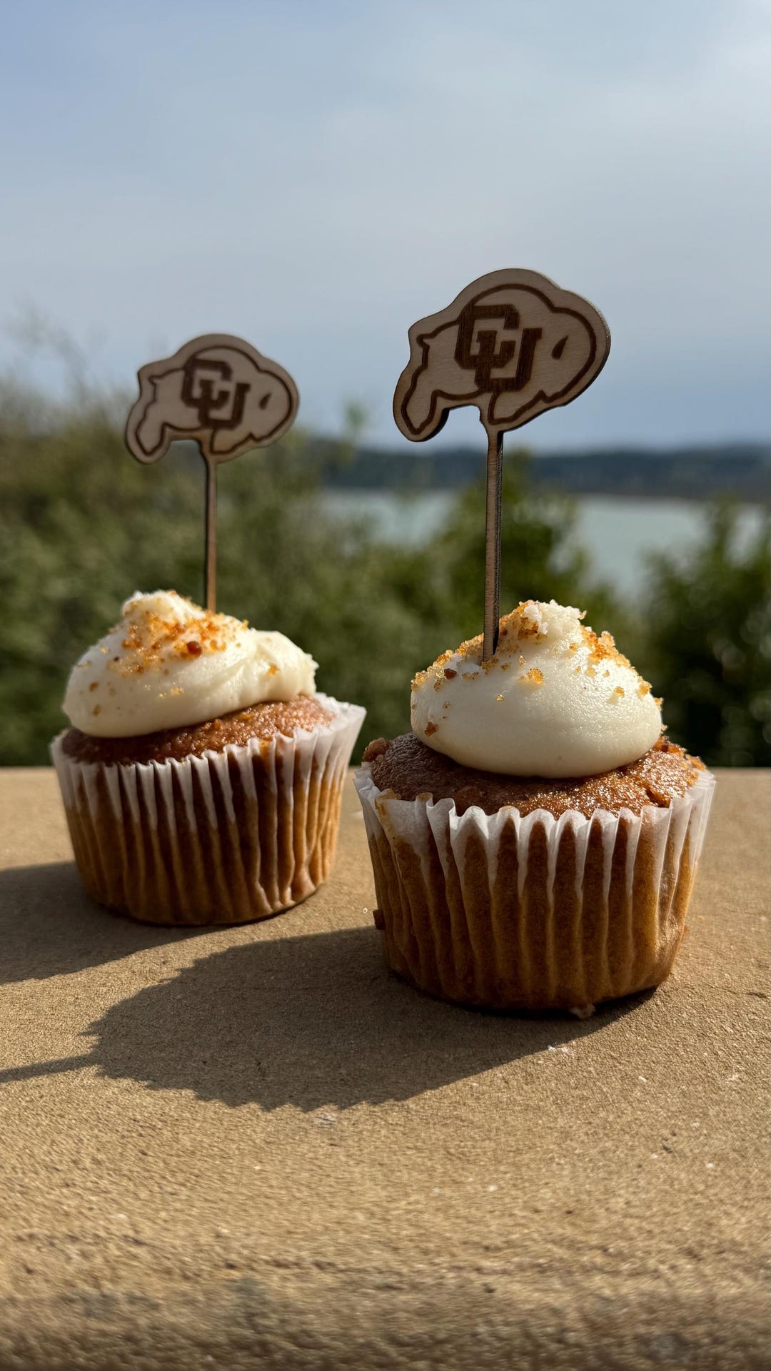 University of Colorado Boulder Cupcake Topper. Graduation Decor. Party ...