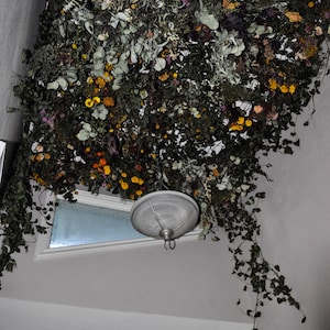Custom Flower Ceilings and Walls - Etsy