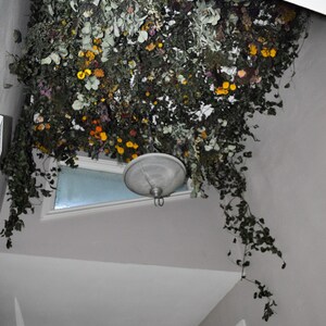 Custom Flower Ceilings and Walls - Etsy