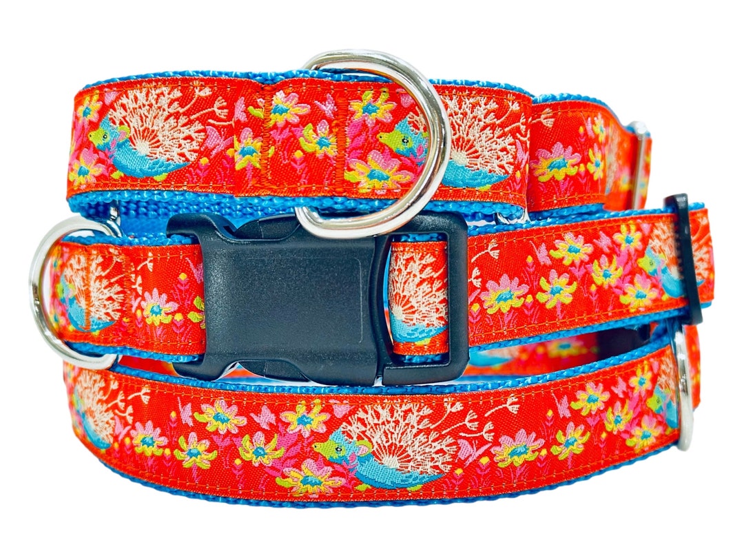 Orange Hedgehog Dandelion Floral Dog Collar Martingale or Buckle 1 Inch ...