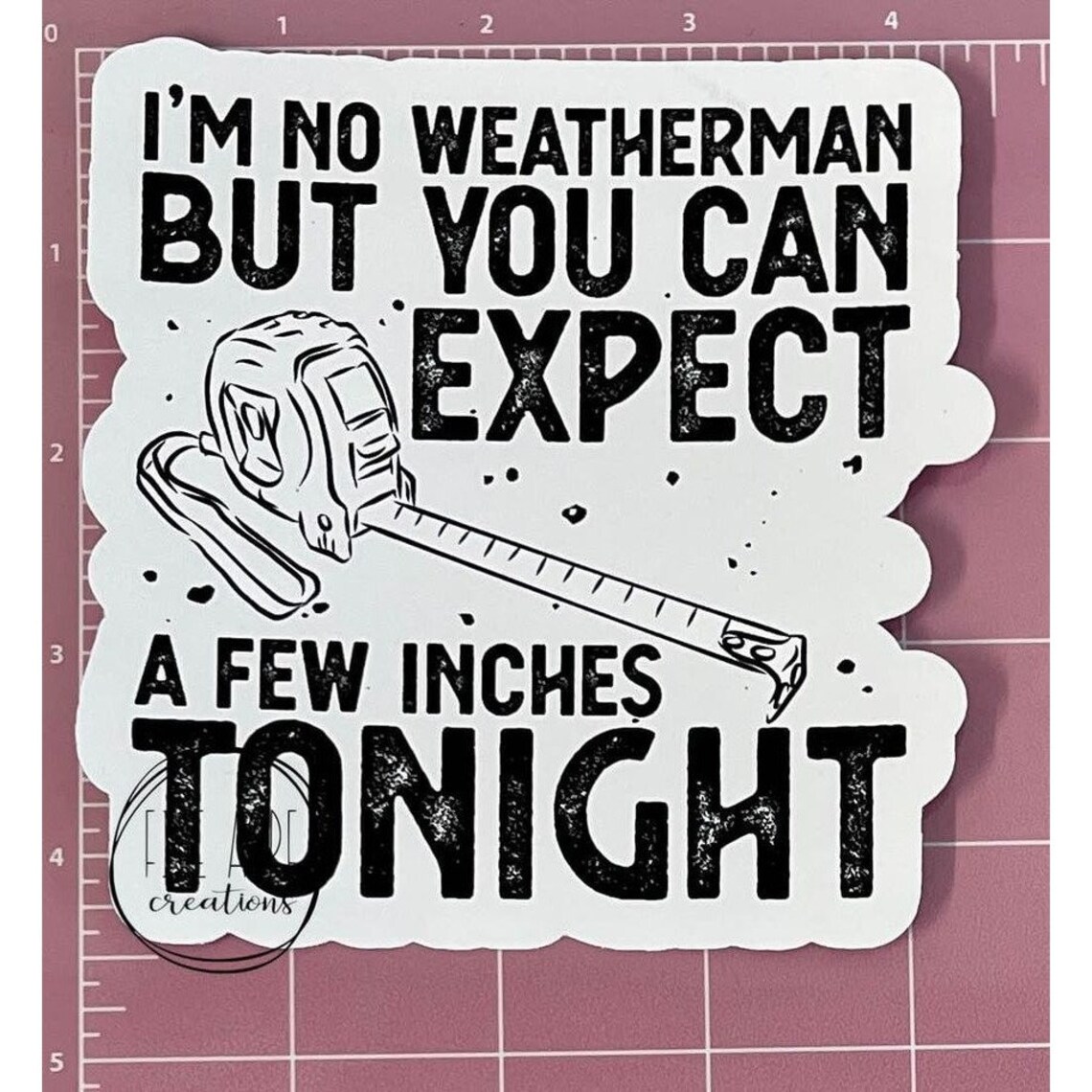 Funny Dirty Sticker - Gag Gift - A Few Inches Tonight - Car Decal ...