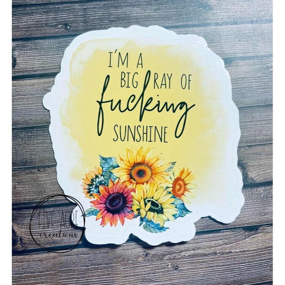 Funny Sarcastic Sticker Waterproof Vinyl Decal Weatherproof Big Ray of ...