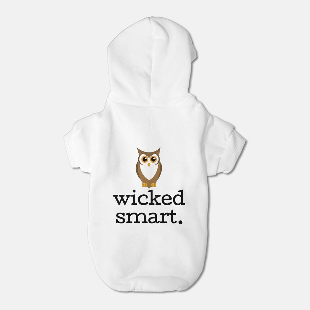 Wicked Smart Small Breed Pet Hoodie, Dog, Cat, Sweater, Fall Vibes ...