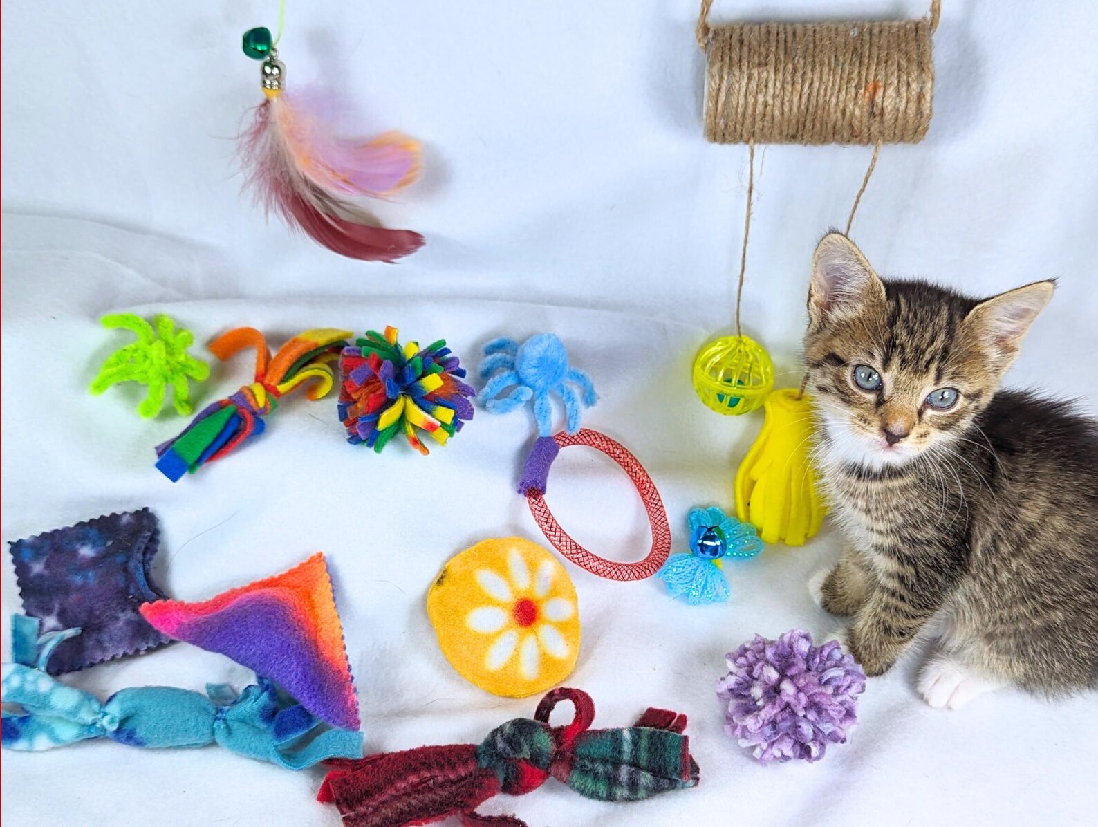 Create Your Own Cat Toys - PDF With 19 DIY, No Sew, Cat-tested Crafts ...