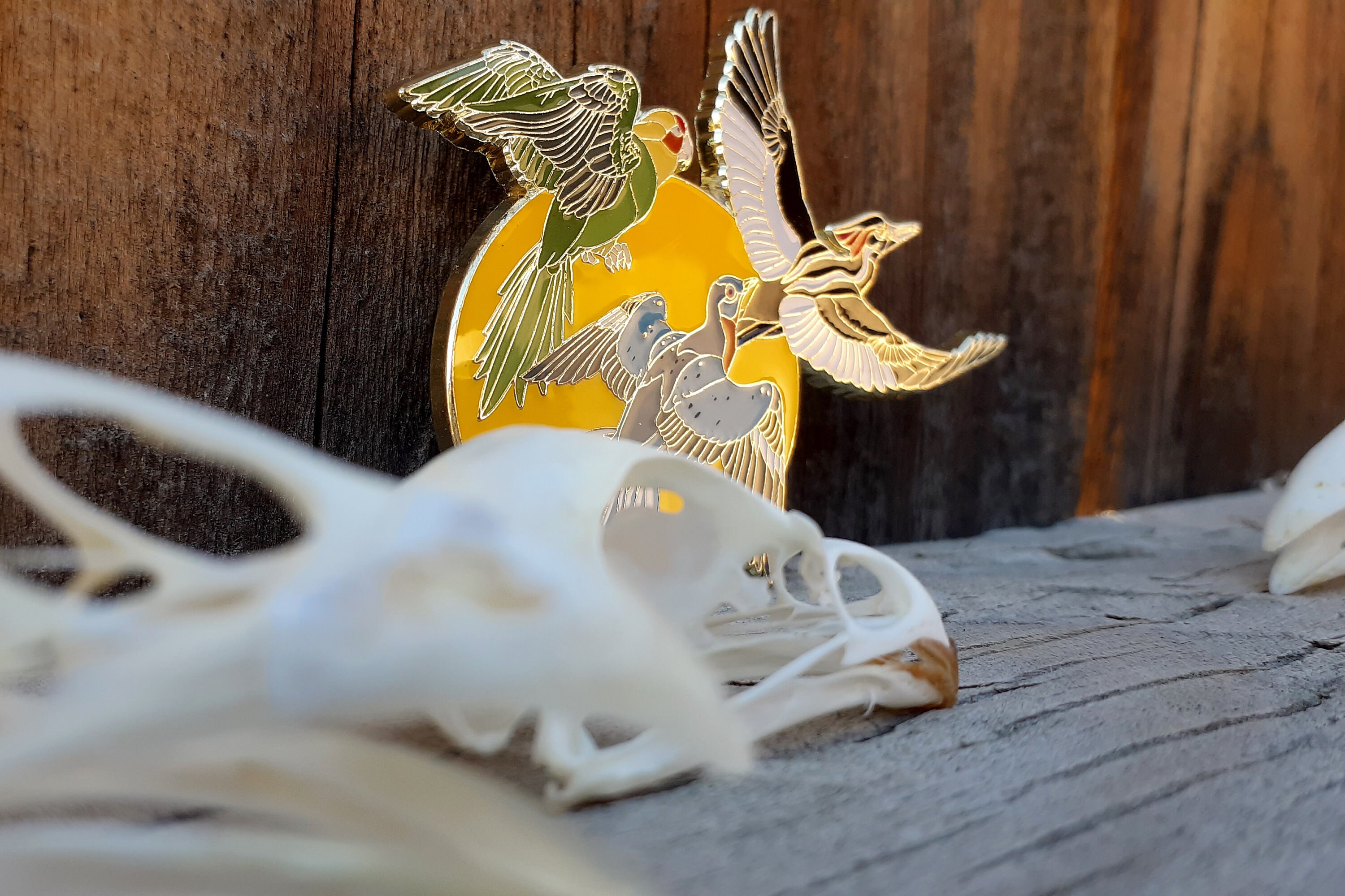 Sunset Enamel Pin Extinct Birds Passenger Pigeon Ivory | Etsy