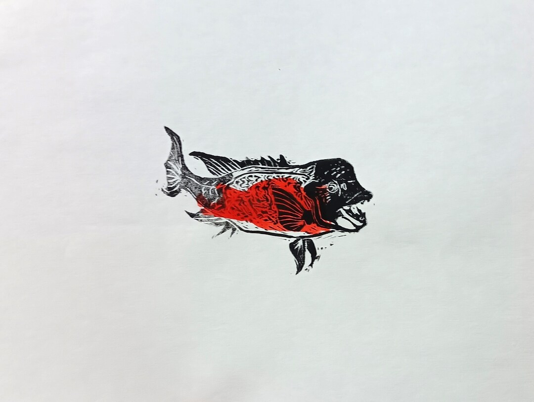 Pacific Sheephead - Lino Block Print Fish Art - Etsy