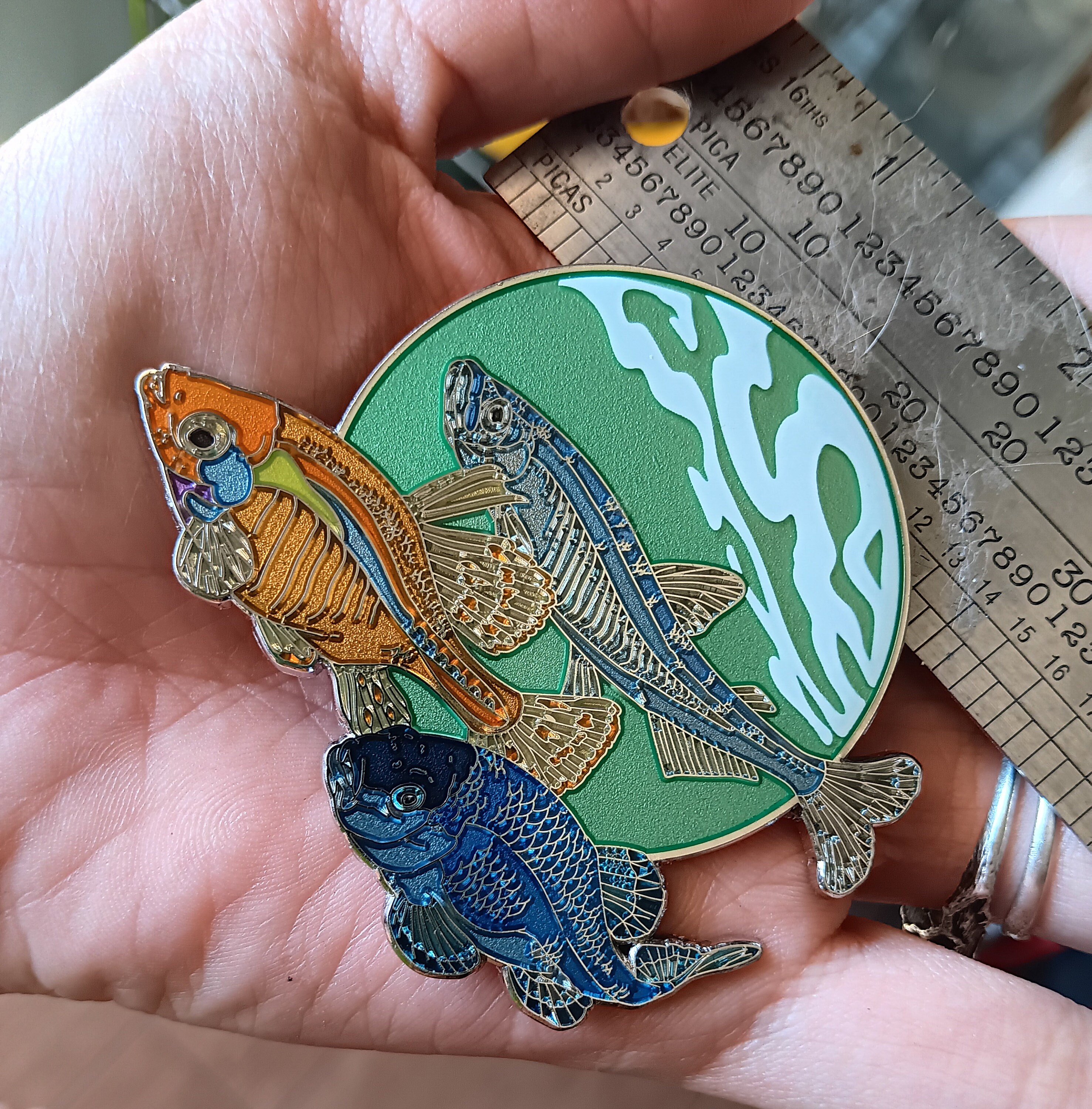 Moonrise Enamel Pin Endangerd Fish Delta Smelt Golden Skiffia Devil's ...