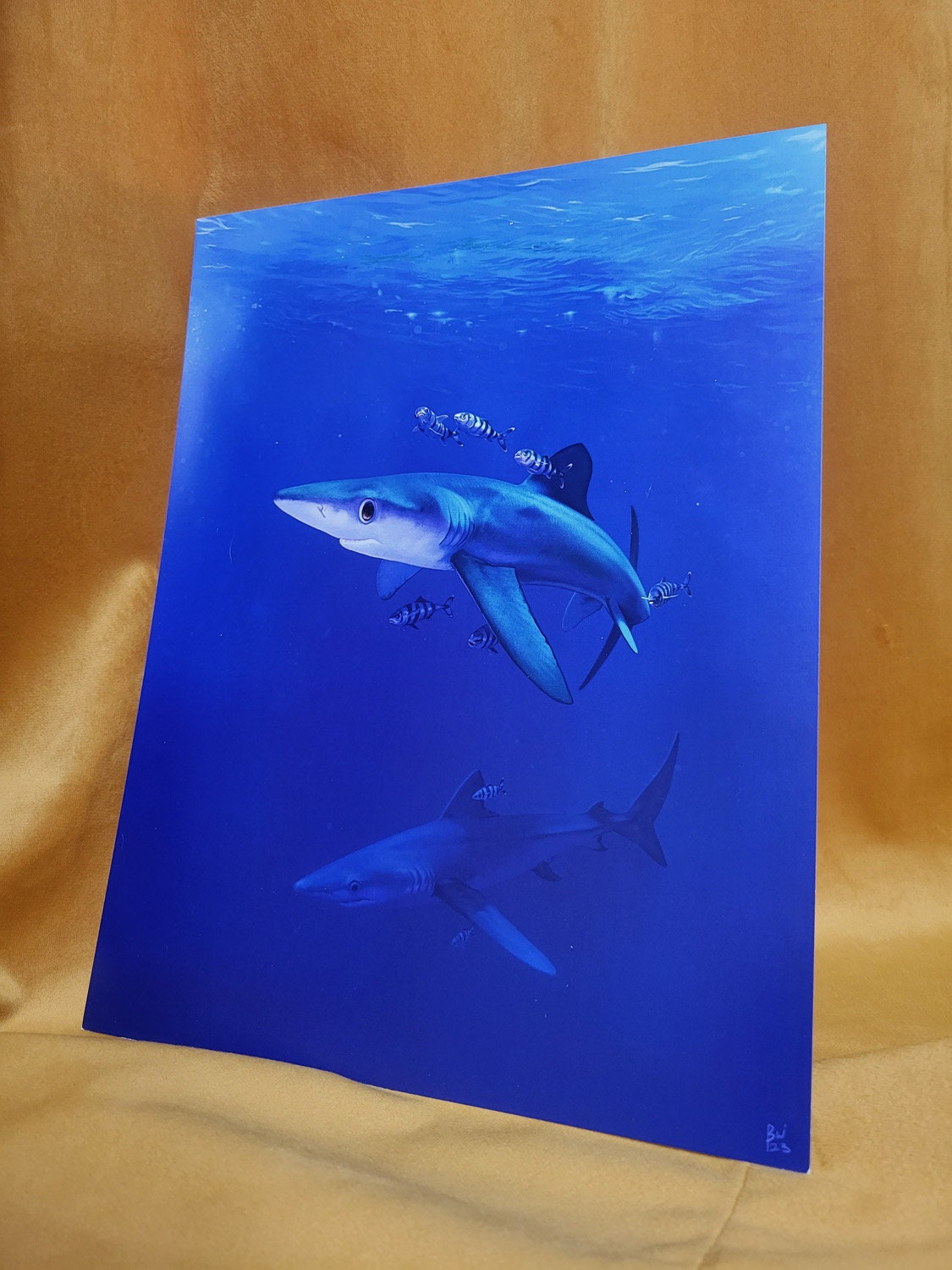 Blue Shark - Ocean Print Matte and Pearlescent Art 8.5 X 11 Inch Marine ...