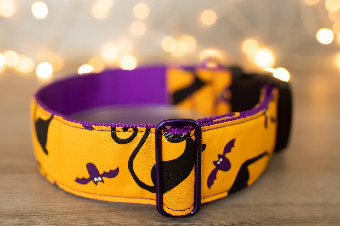 Cats, Bats & Bugs Dog Collar: Halloween Puppy Collar - Etsy