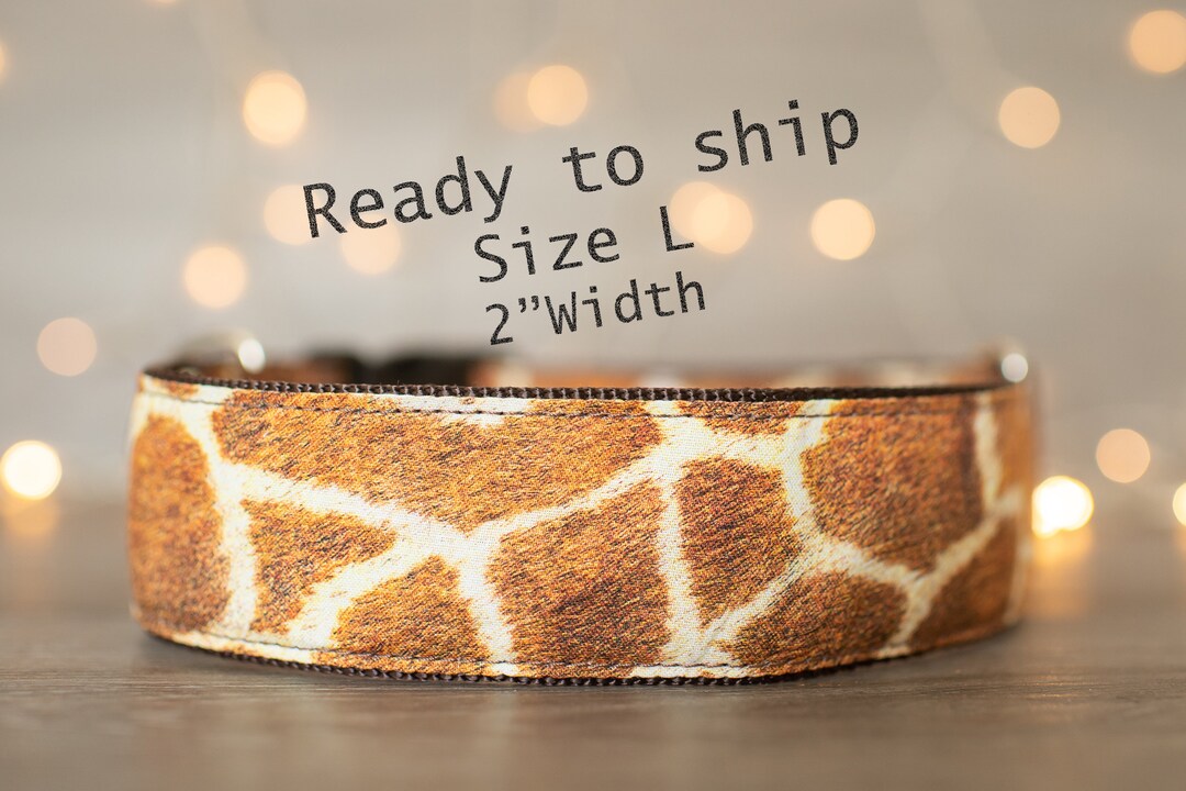Ready-made Collar: Giraffe Print Collar 2 Large on Brown Webbing - Etsy