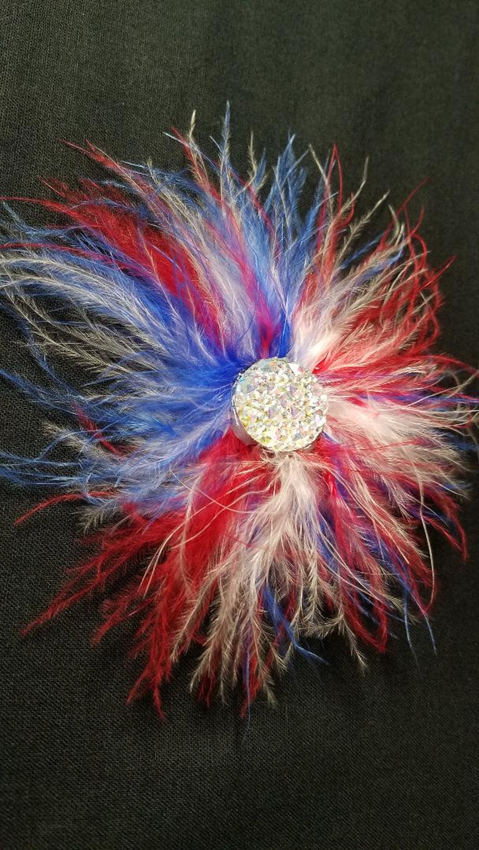 Feather Firework Hair Clip - Etsy