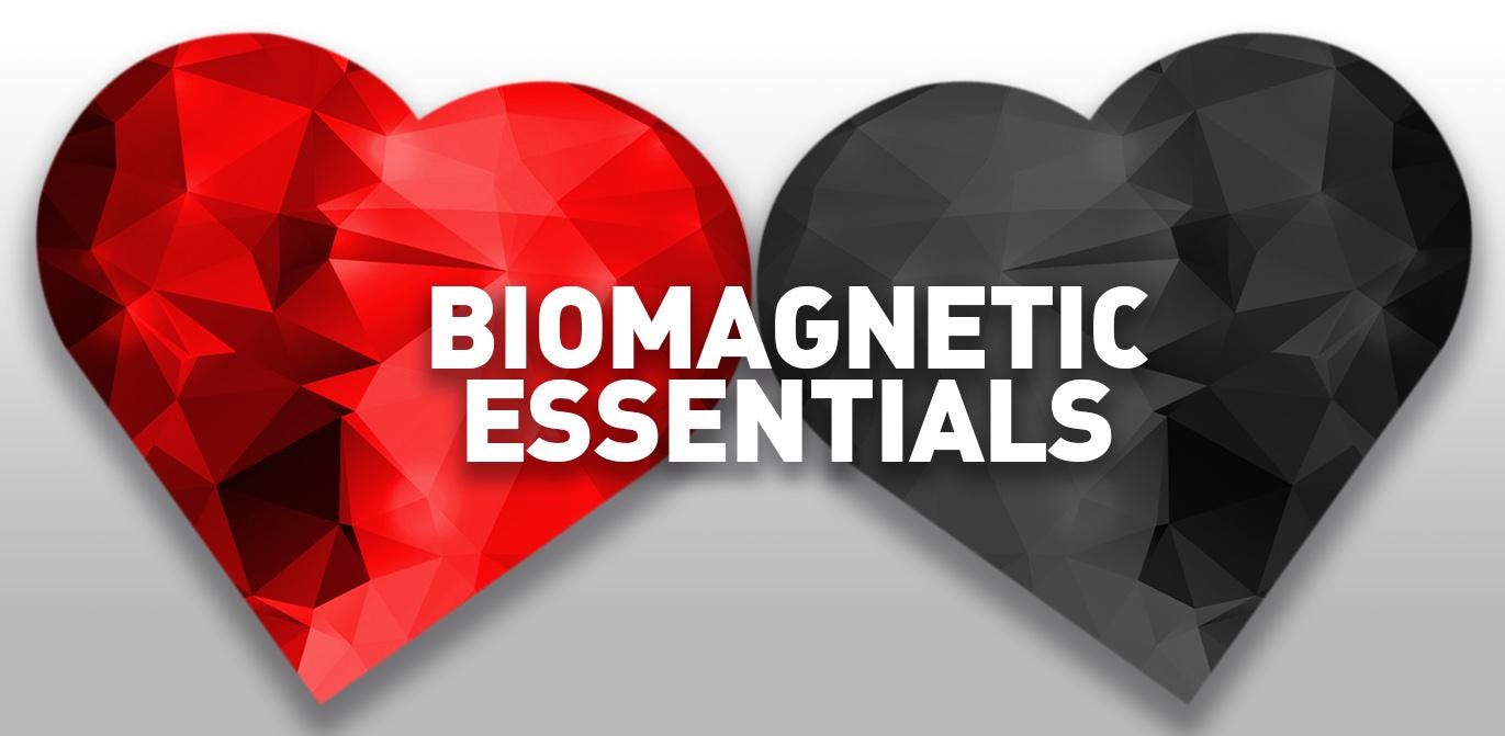 Magnets for Biomagnetism, Imanes Para Biomagentismo, GREAT VALUE ...