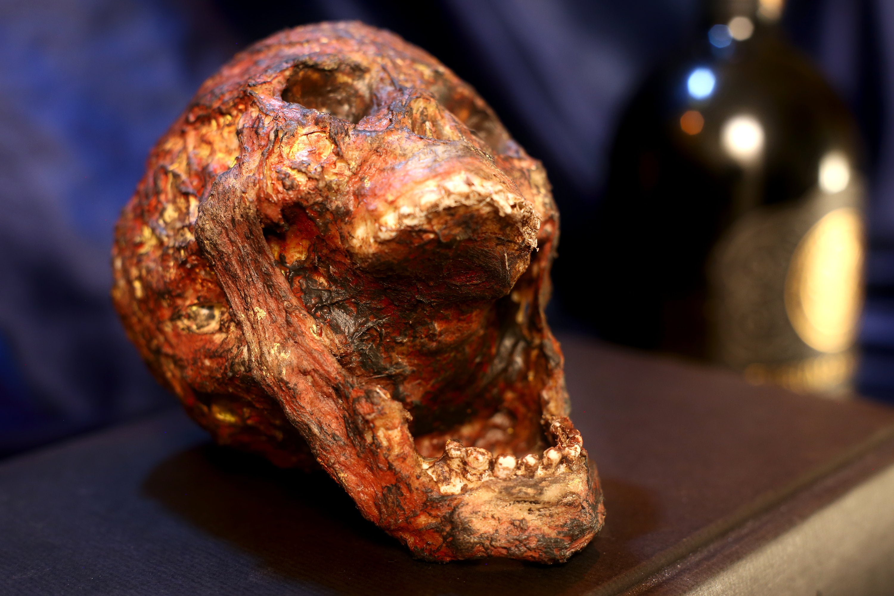 1/3 Scale Burned Human Skull Prop/charred Bloody Human Skull/halloween ...