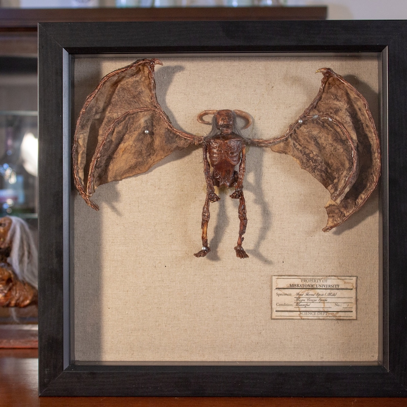 Mummified Fairy - Etsy