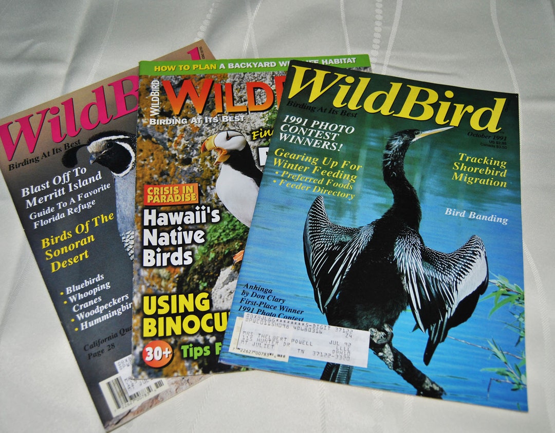 Wildbird Magazine Collection: 1990-1999, Set of 6, Vintage - Etsy