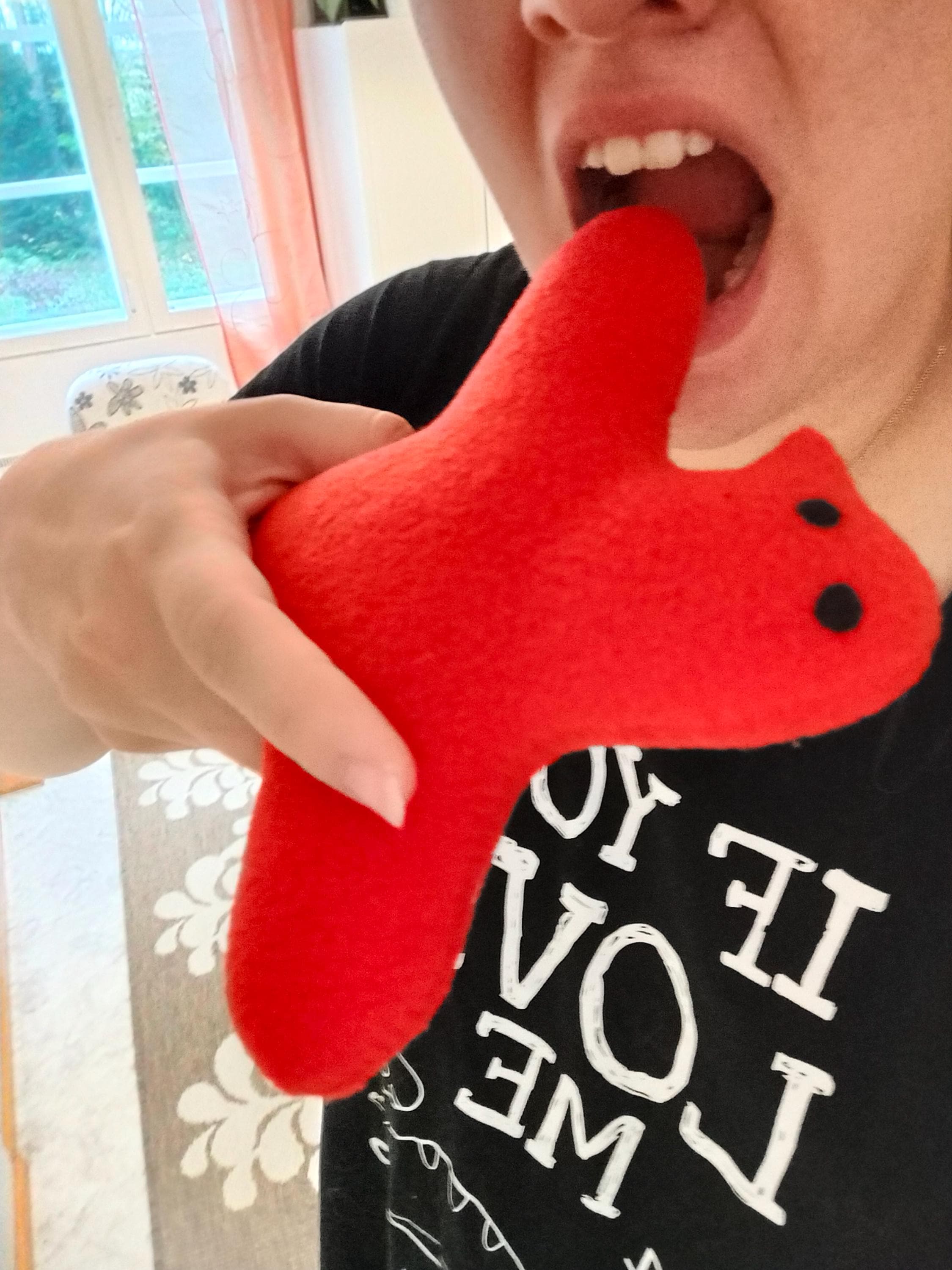 Dungeon Meshi Bird Plushie Pattern - Etsy