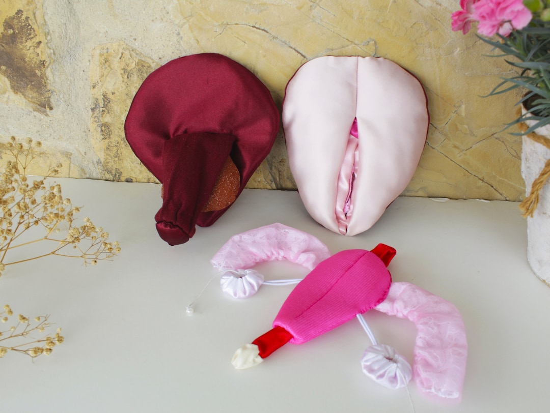 Vulva With Clitoris And Urethra Penis And Uterus In Fabric Genitals Educational Model For