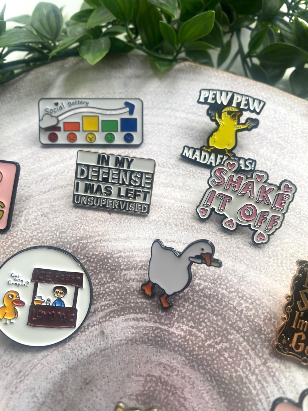 Cute Pins Funny Badges Quirky Designs Antisocial Vibes Silly Goose Main ...