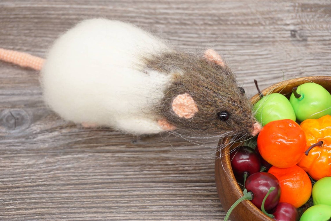 Juguete de rata realista personalizado por foto juguete de 7 | Etsy