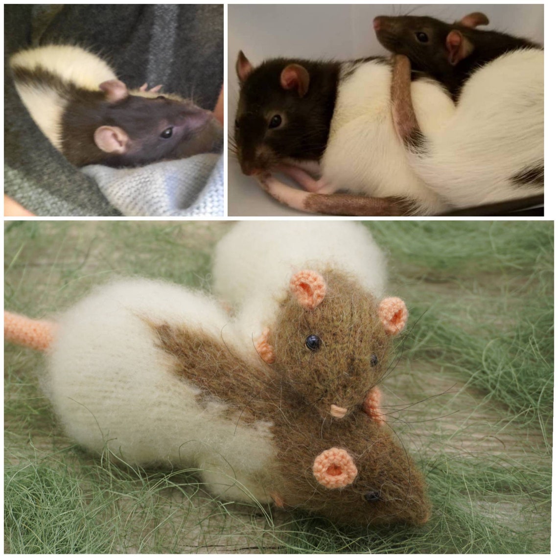 Custom realistic rat toy by photo 7 inches toy individual | Etsy