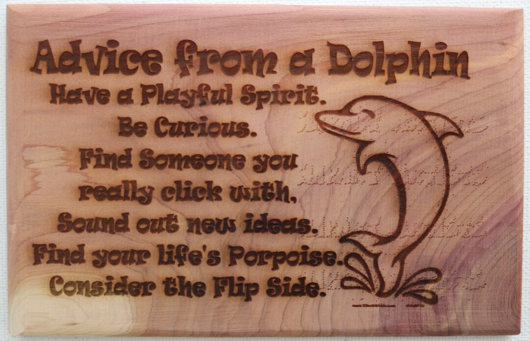 Advice From a Dolphin Refrigerator Magnet - Etsy