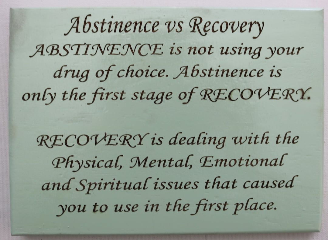 Abstinence Vs. Recovery - Etsy