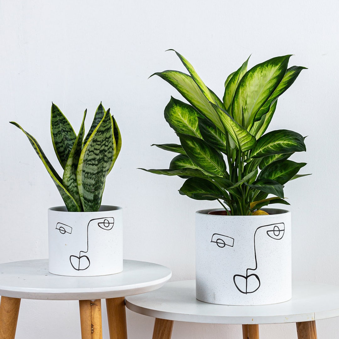 Kimisty Set 2 Ceramic Nordic Face Planters, 7 & 6 Inch Modern Planters ...