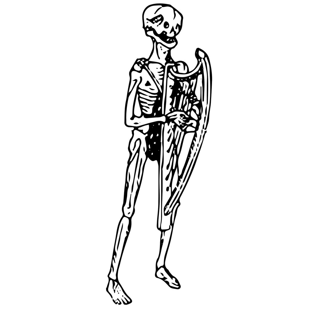 Medieval Skeleton SVG PNG Digital Download Svg for Cricut or Other ...