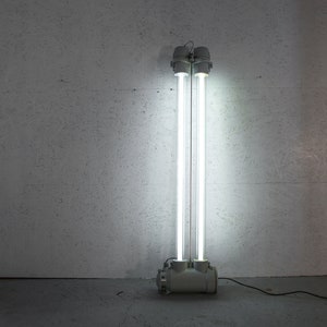 Double NEON Light Vintage Lighting TGL 28164 by EOW - Industrial Neon ...