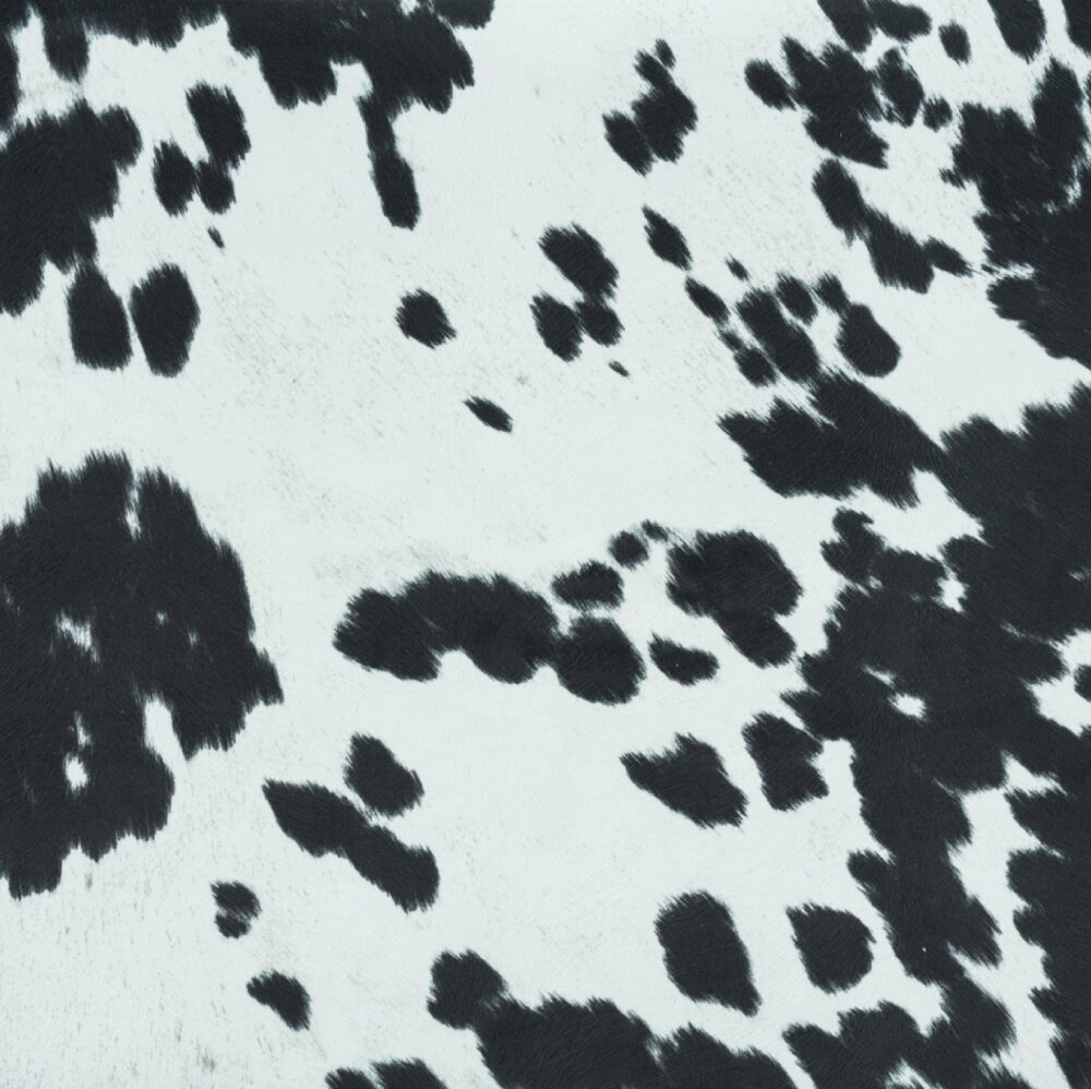 Cow Print Sofa Cowhide Couch - Etsy