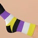 Nonbinary Pride Flag Socks, Non-binary Genderqueer Clothing, Non Binary Queer Pride Gift, Unisex ...