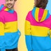 Pansexual Pride Flag Hoodie, Pan Pride Pullover Hoodie, Pansexual ...