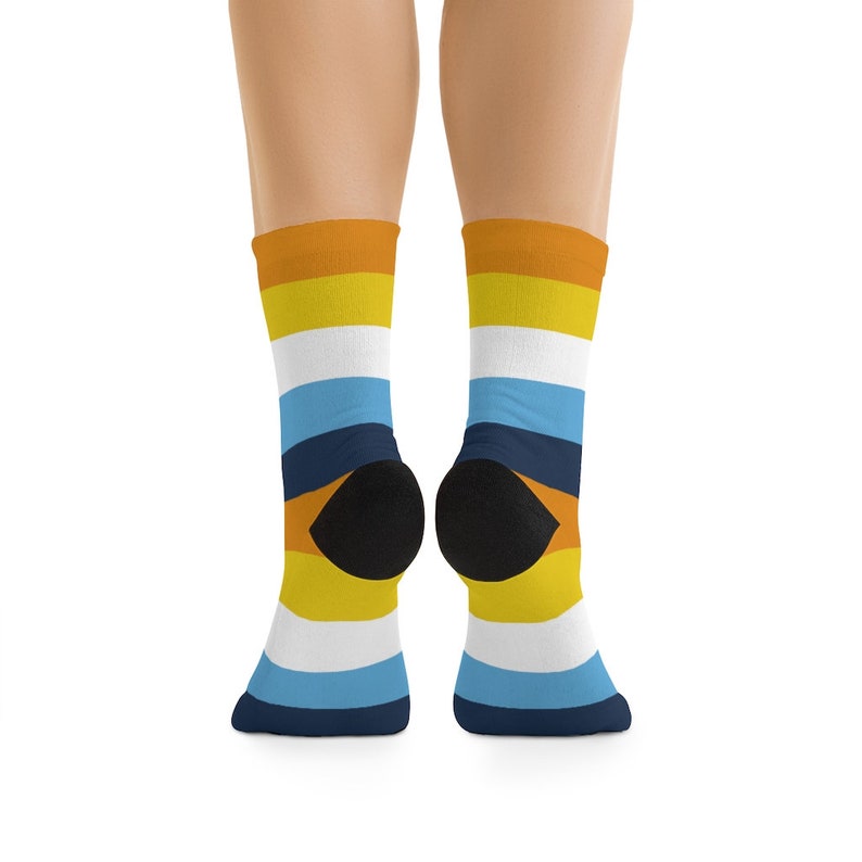Aroace Flag Socks Aroace Pride Socks Aro-ace Pride Merch | Etsy