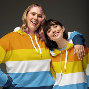 Aroace Hoodie, Aroace Sunset Flag Colors, Aroace Sweatshirt, Aro Ace ...
