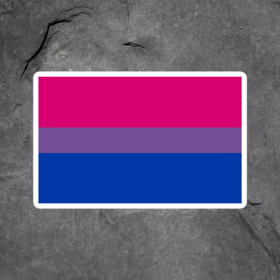 Bisexual Sticker Bi Pride Sticker Bisexual Pride Sticker | Etsy