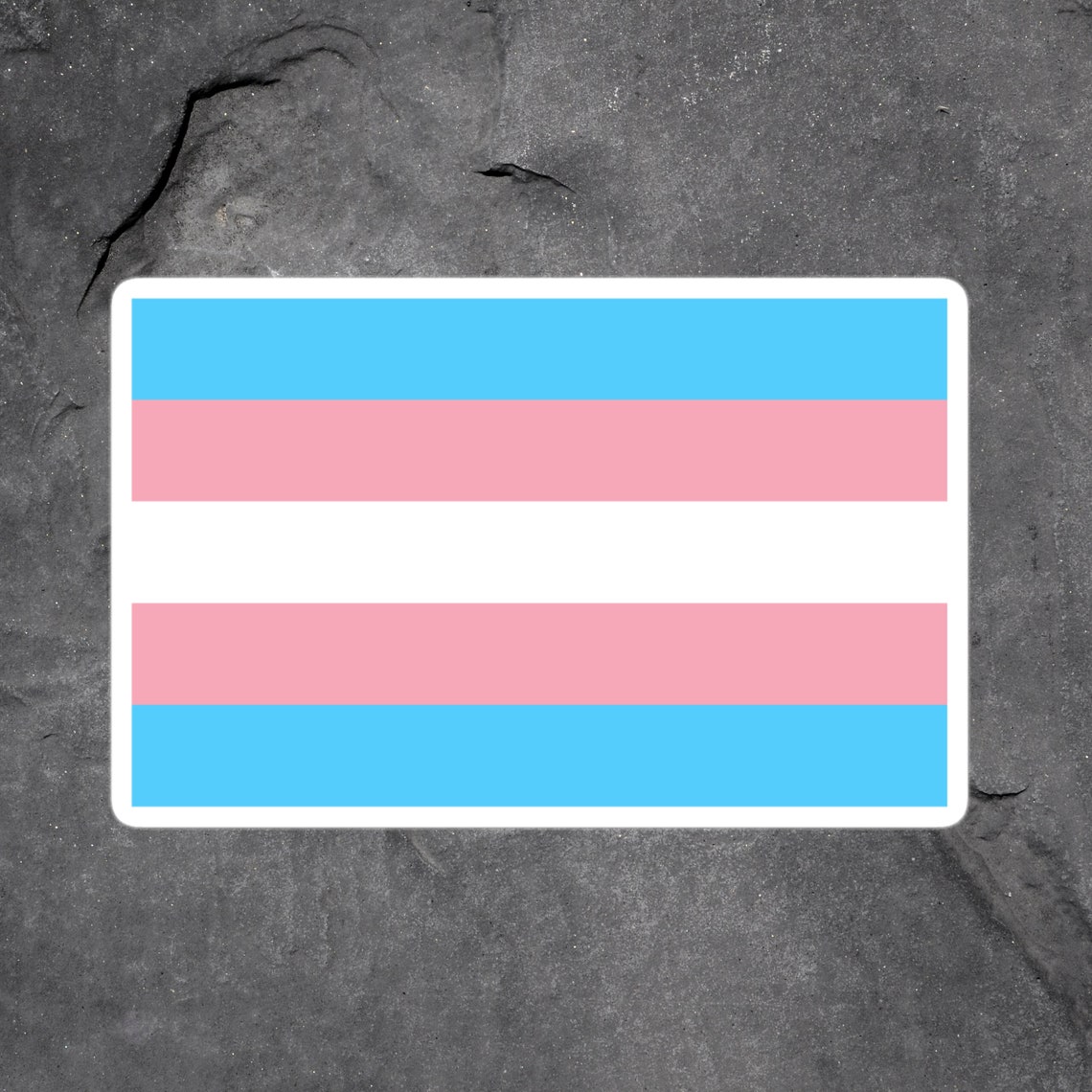 Transgender Flag Sticker, Trans Pride Stickers, Laptop Stickers, Trans ...