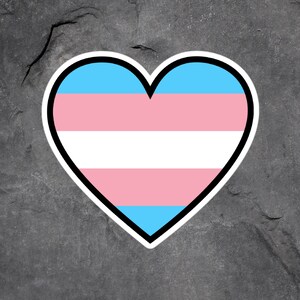 Trans Pride Sticker, Transgender Sticker, Trans Sticker, Trans Flag ...