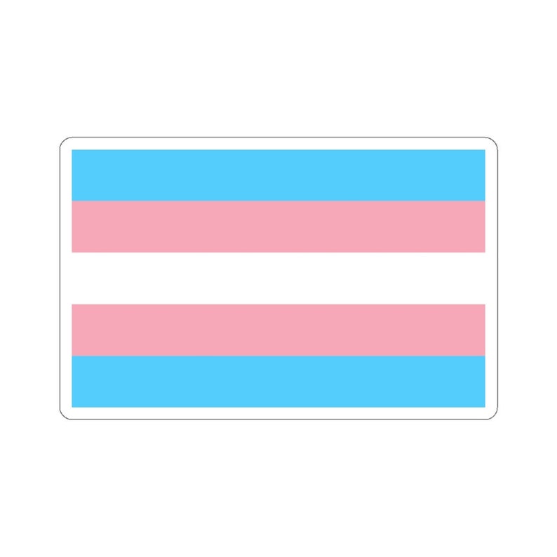 Transgender Flag Sticker Trans Pride Stickers Laptop | Etsy