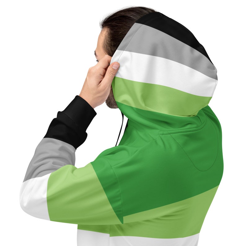 Aromantic Flag Hoodie, Aromantic Pride Wear, Aromantic Clothing, Aro ...