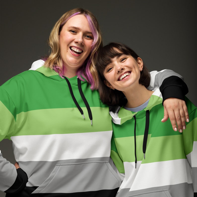 Aromantic Flag Hoodie, Aromantic Pride Wear, Aromantic Clothing, Aro ...