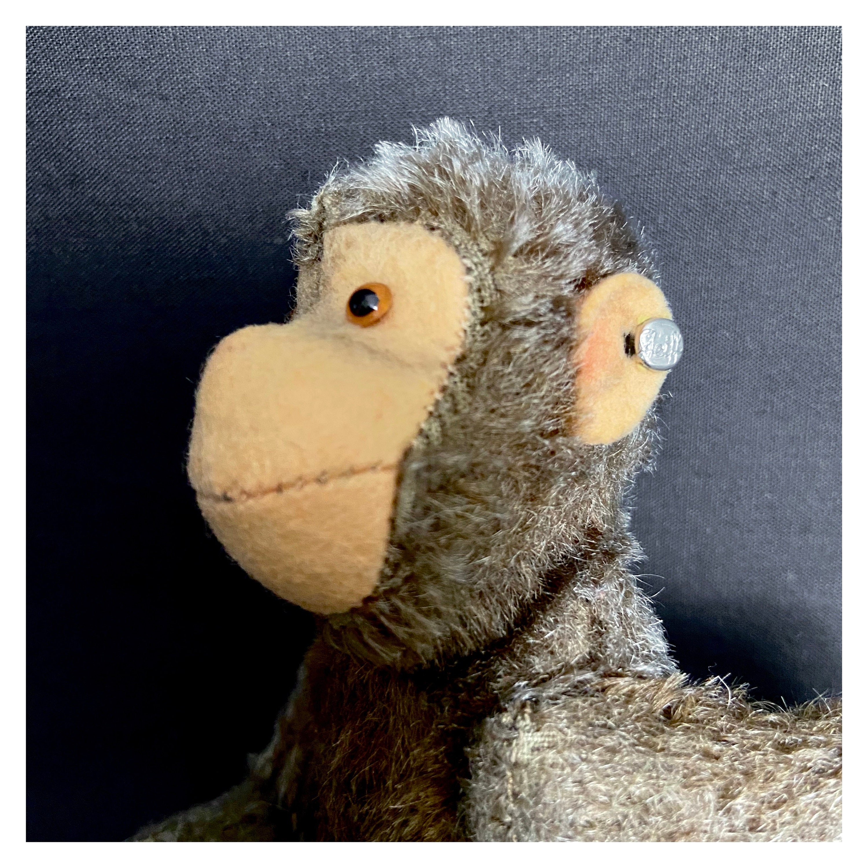 Steiff Vintage 60s Jocko Monkey. Collectible Miniature 7" Chimpanzee ...