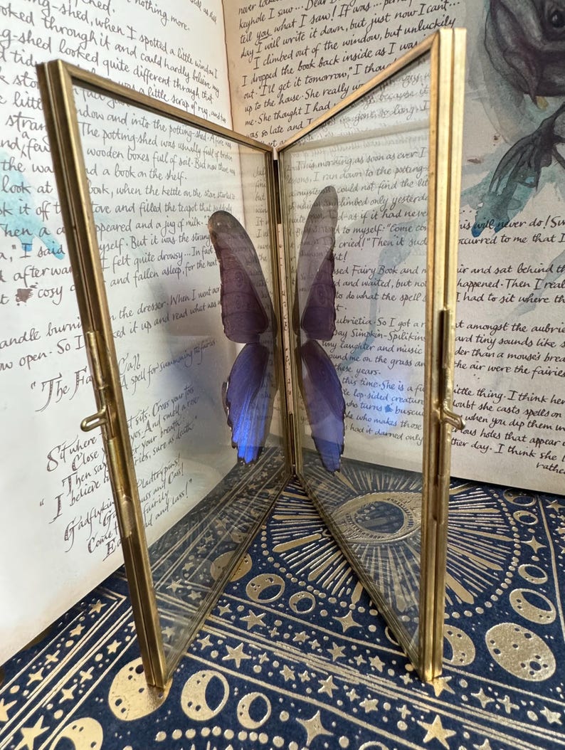 Butterfly Card Frame - Blue Morpho (gold Frame) - Etsy