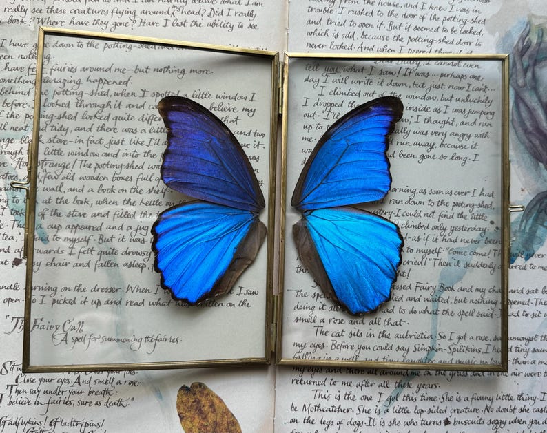 Butterfly Card Frame - Blue Morpho (gold Frame) - Etsy