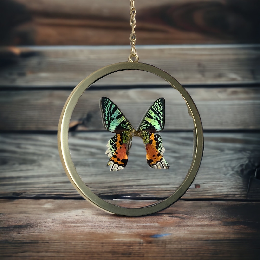 Sunset Moth Hanging Frame - Etsy